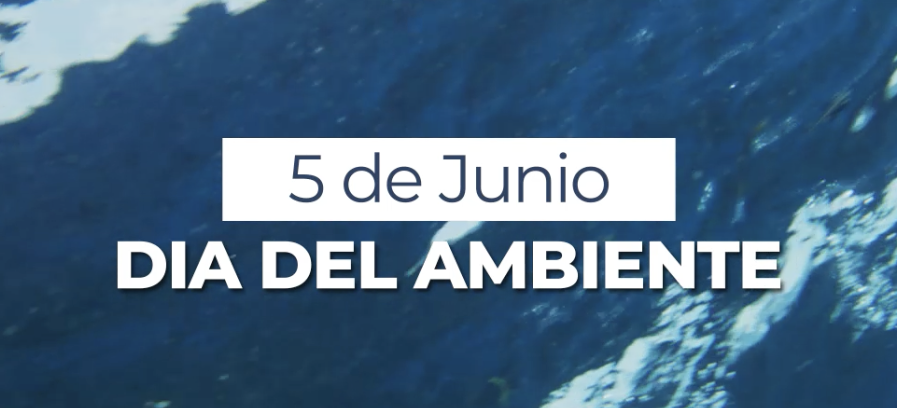 Día Mundial del Ambiente